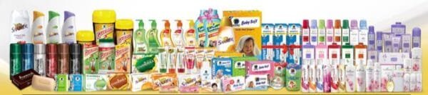 Daily Use Products of Famous Indian Brands - Indian Media Studies