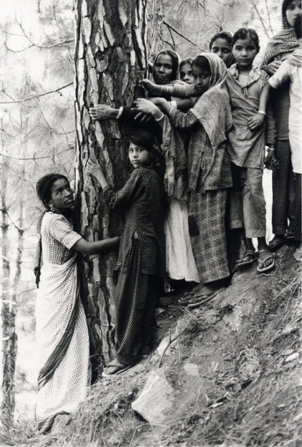 Chipko Movement 1973 - Indian Media Studies